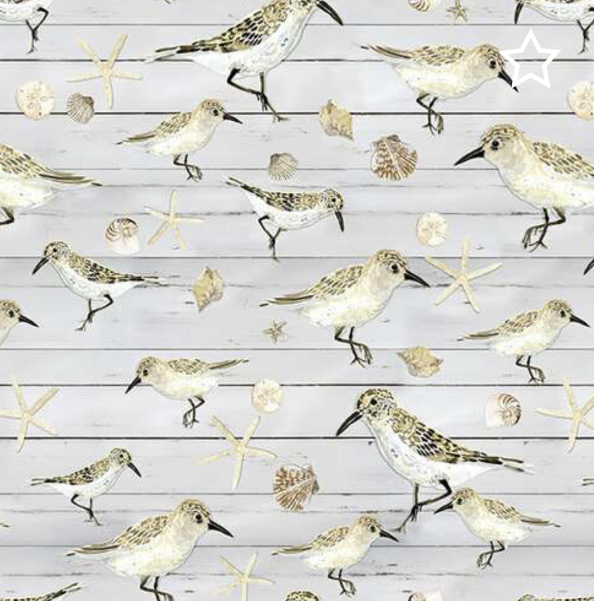 Køb Seaside Seerenity : strand fugle - Kun: 0,40,-